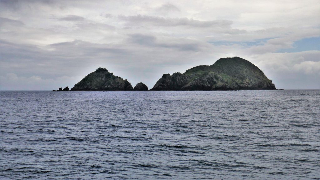 Hen and Chickens Island Shore Explore | YOUNG.KIWI